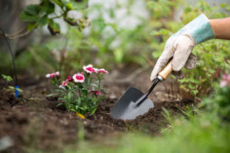 Hydrawise® Software | Nelson Irrigation Australia