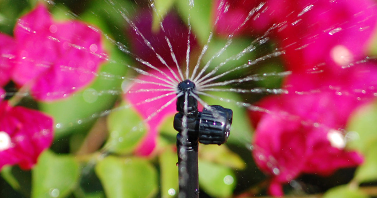 Micro Sprays | Nelson Irrigation Australia