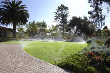 Standard MP Rotator Nozzle | Nelson Irrigation Australia