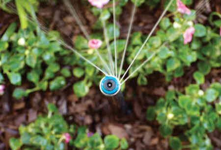 Standard MP Rotator Nozzle | Nelson Irrigation Australia