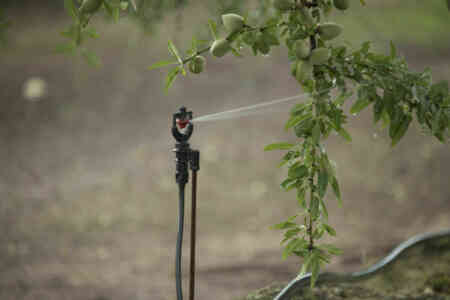 R10 Rotator® | Nelson Irrigation Australia