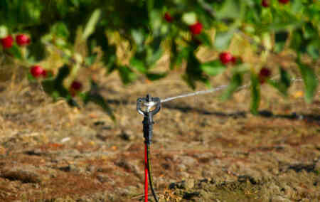 R10 Rotator® | Nelson Irrigation Australia