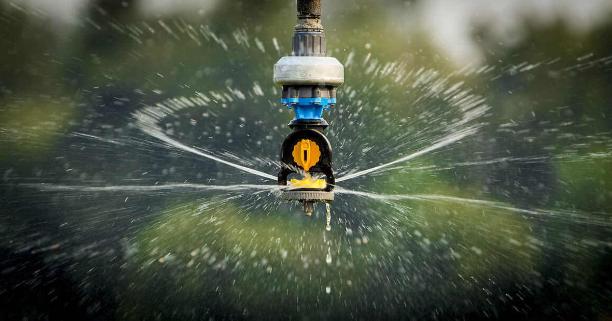 The Spinner is a faster rotating sprinkler that is great for sensitive ...